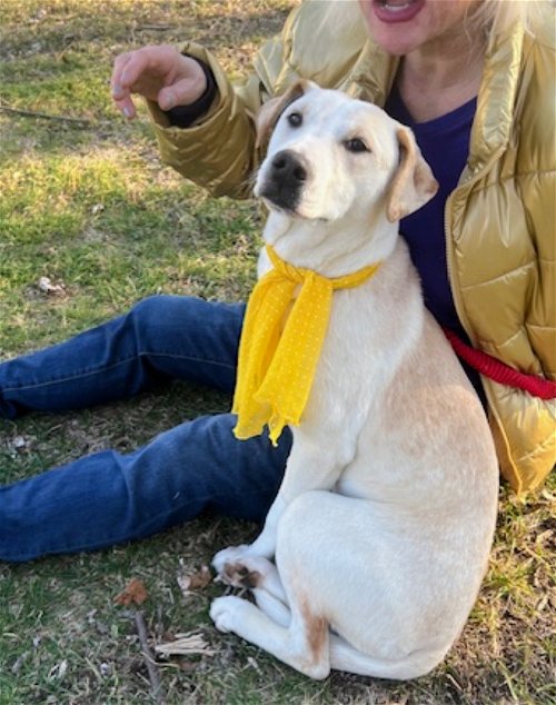 Home | Animal Sanctuary Society, Inc